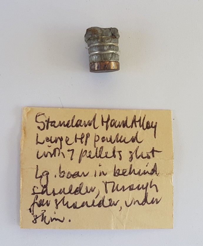 Hard Cast HP .30-30 Bullet on a Big Sow